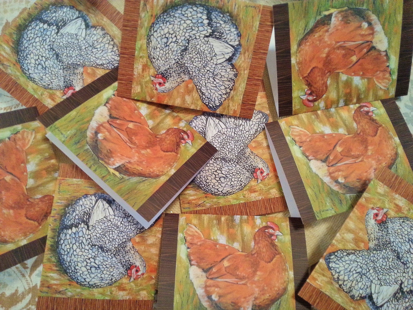 Chicken, Blank Note Cards, Dottie, a Silver-laced Wyandotte Chicken ...