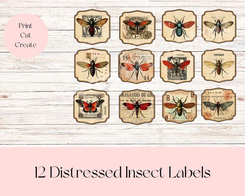 Insect Specimen Label Fussy Cuts for Steam Punk Junk Journals, Glue ...