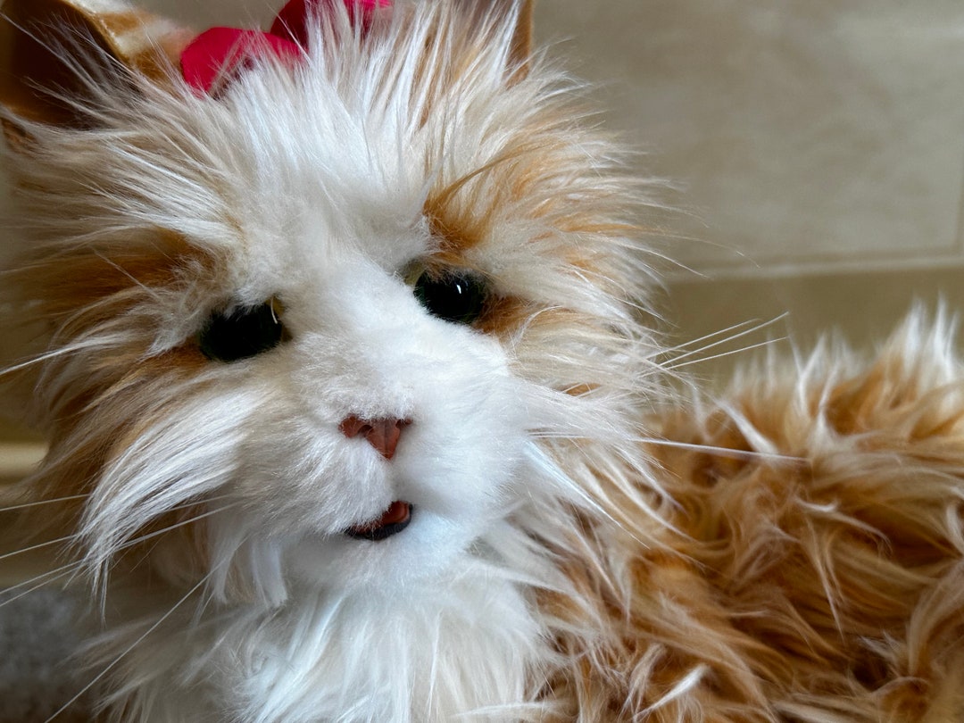 Zumba the Realistic Companion Cat - Etsy