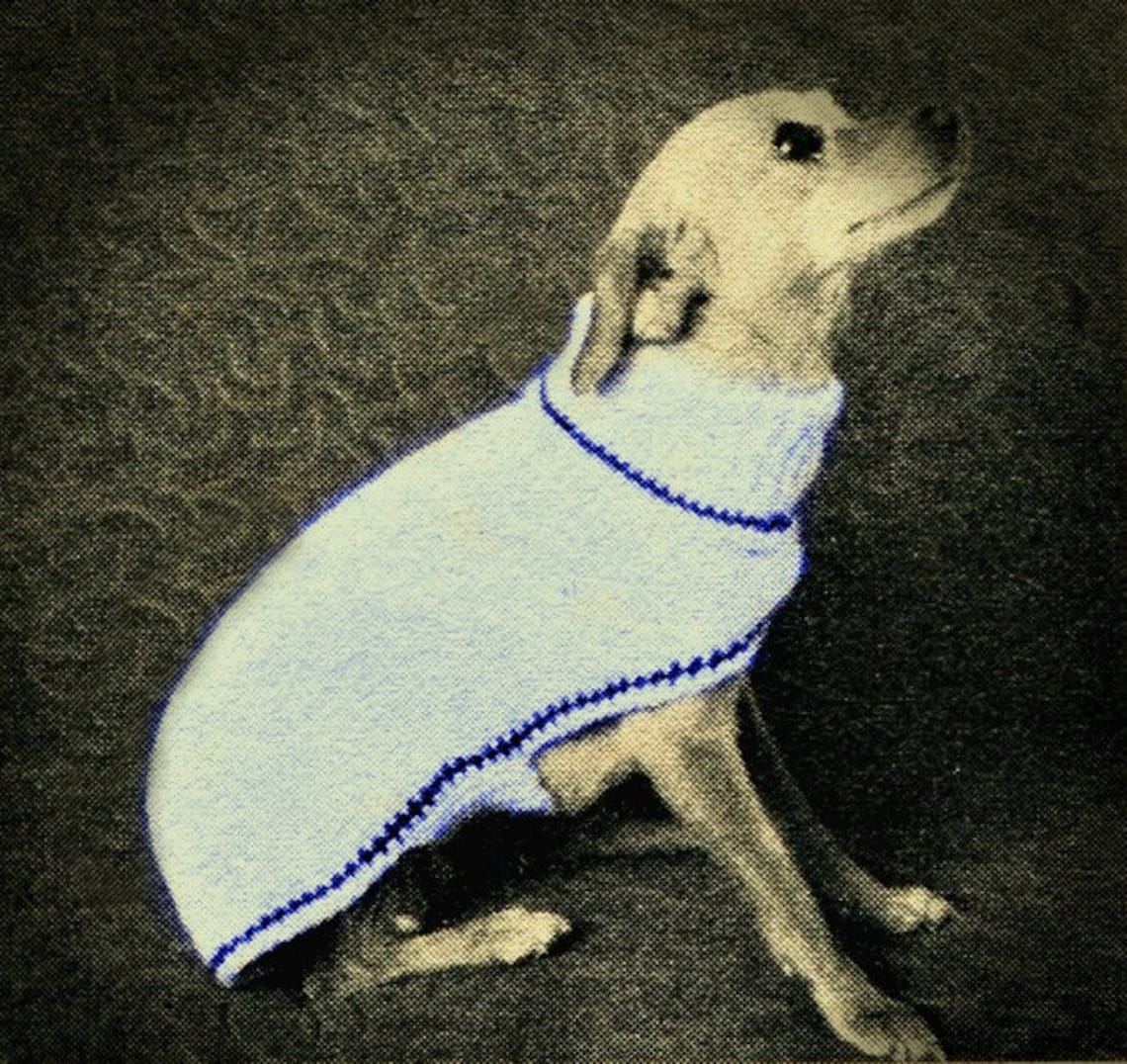 So Easy! Dog Sweater Knitting Pattern Small and Medium Turtleneck ...