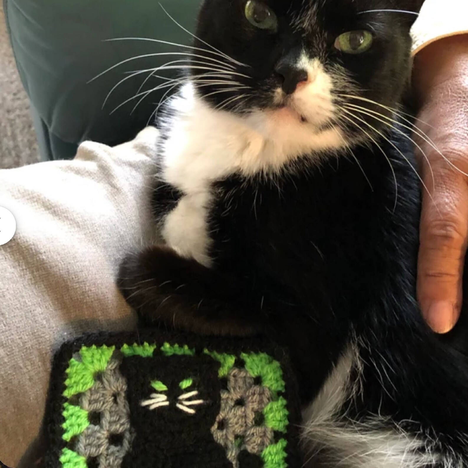 Sweet Kitten Granny Square Crochet Pattern Applique 6 for Projects ...