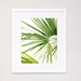 Palm Bend watercolor Art Print - Etsy