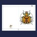 Printable Insect Cards- Bugs- Insects- Digital Bug Cards- Insect ...