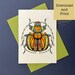 Printable Insect Cards- Bugs- Insects- Digital Bug Cards- Insect ...