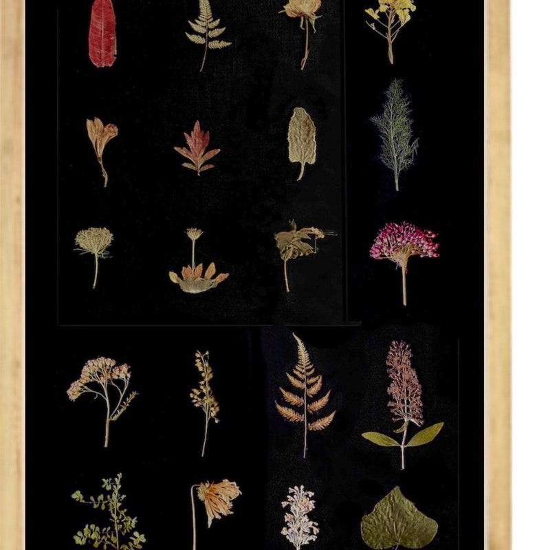 Large Botanical - Etsy