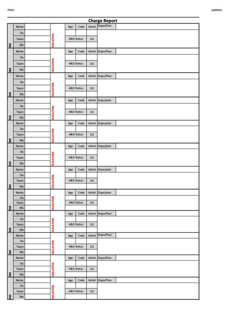 Charge Nurse Patient Report Sheet - Etsy