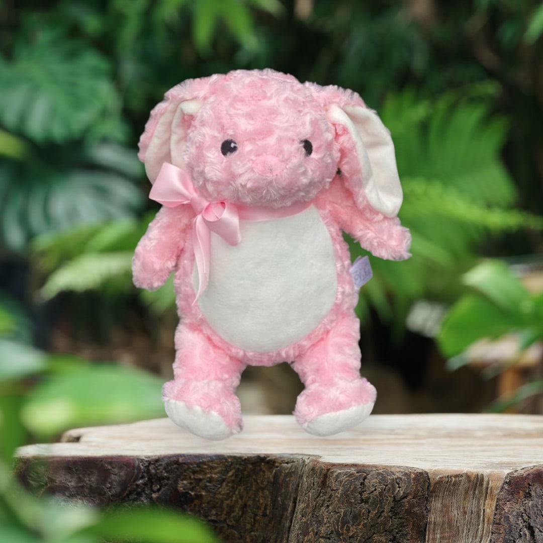 Personalized Plush Bunny, Custom Stuffed Animal, Keepsake Gift - Etsy