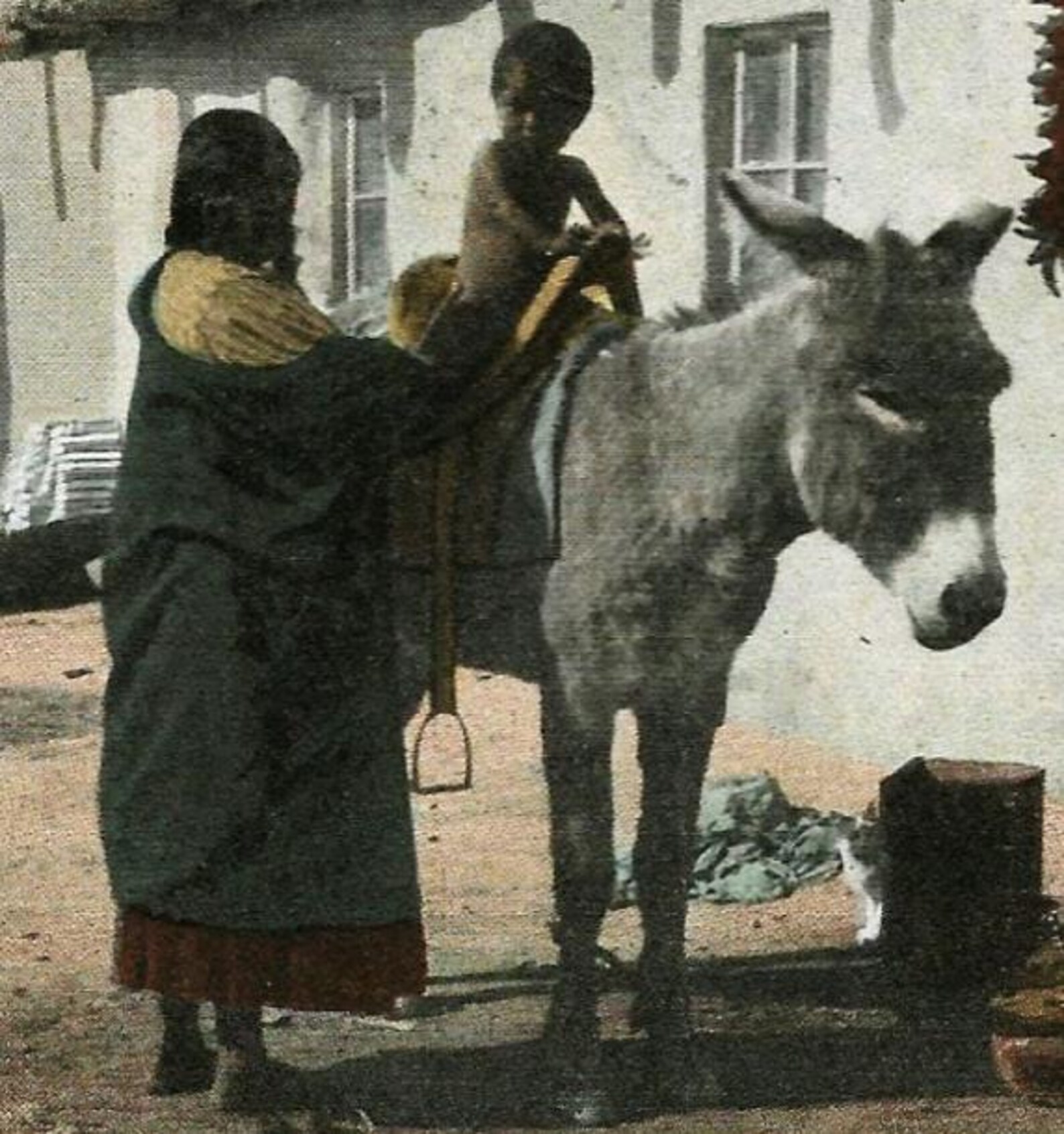 Postcard Native Americans Hopi Indians the First Riding Lesson Child on ...
