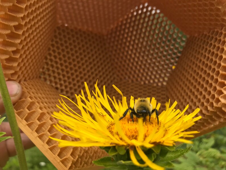 HONEYCOMB - DODECAHEDRON Panel With Biomimicry Scaled Hexagons STL ...