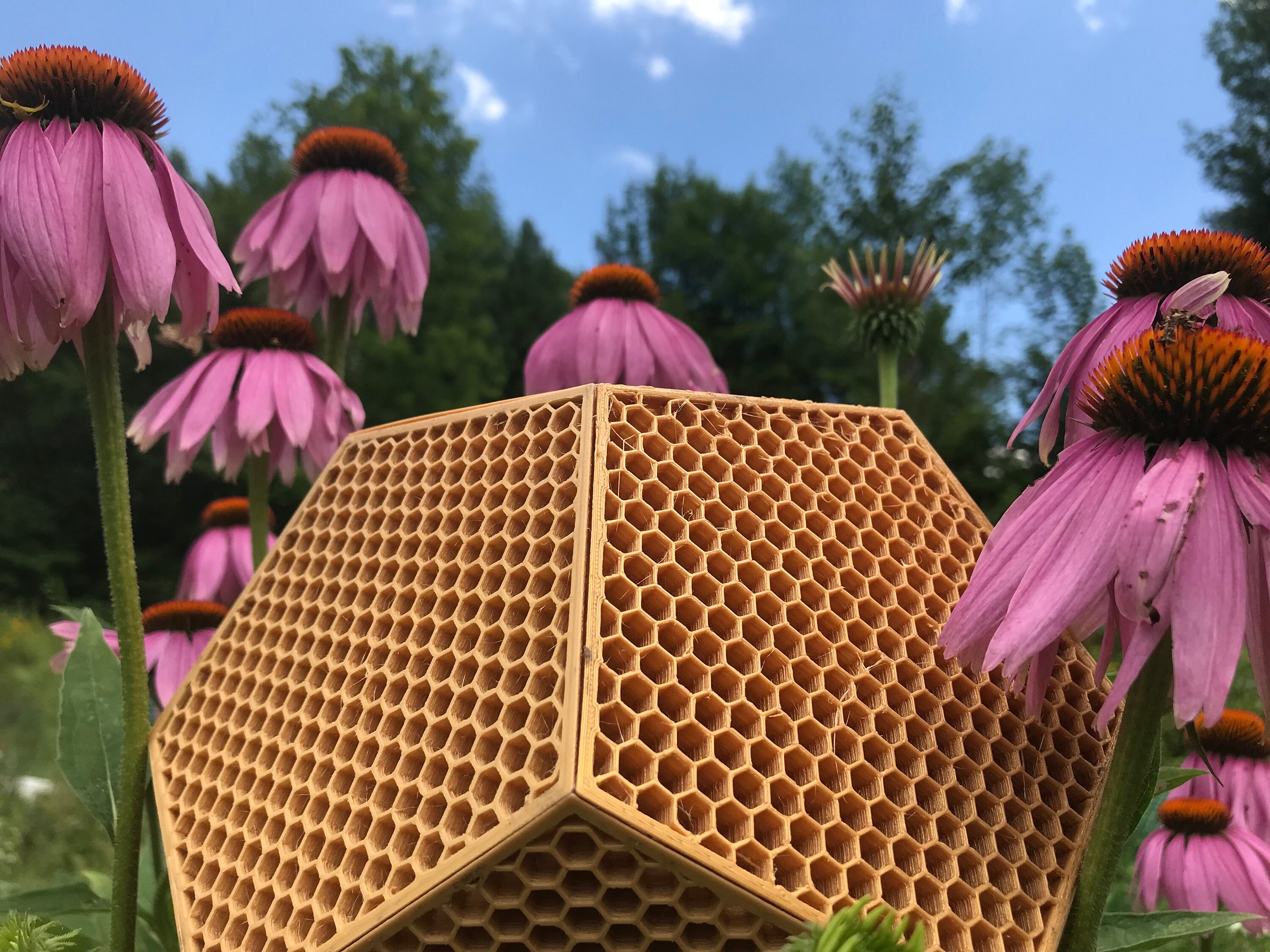 HONEYCOMB - DODECAHEDRON Panel With Biomimicry Scaled Hexagons STL ...
