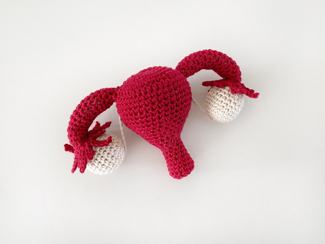 Uterus With Fallopian Tubes and Ovaries Midwifery Teaching Tool Uterus ...