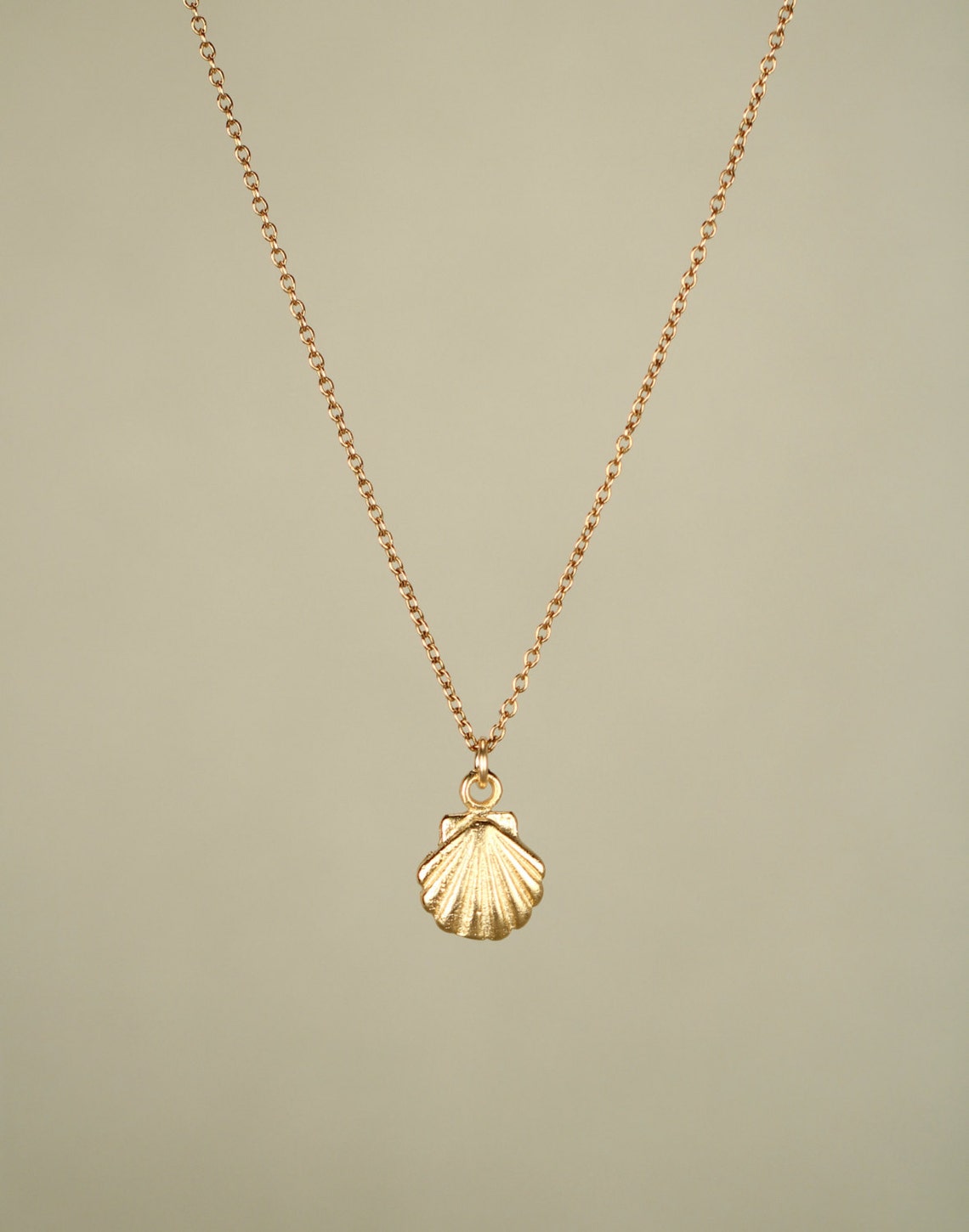 Gold Shell Necklace Tiny Shell Necklace Sea Shell Necklace - Etsy