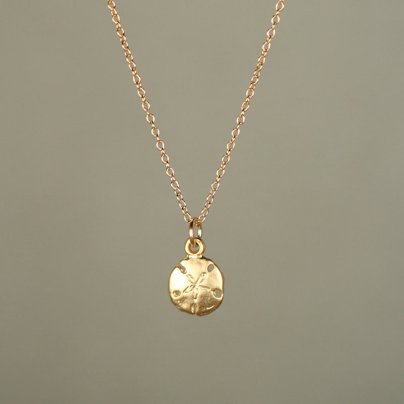 Dollar Shell Necklace - Etsy