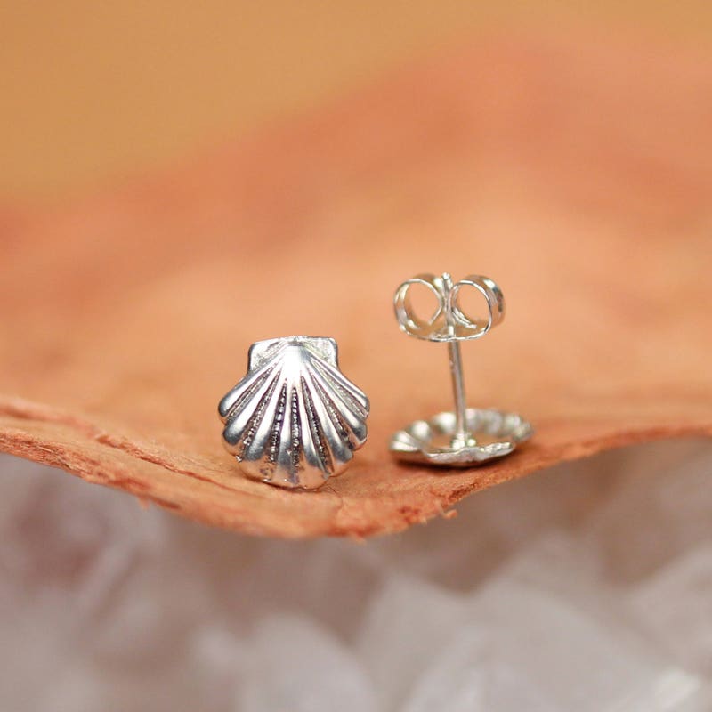 Shell Earrings - Etsy