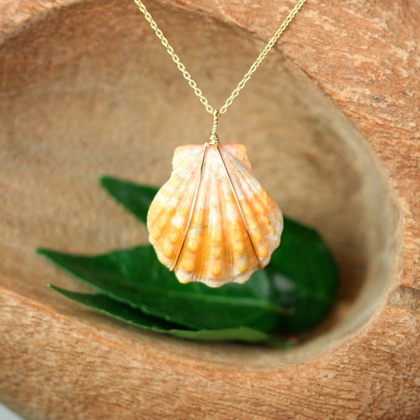 Sunrise Shell Necklace - Etsy