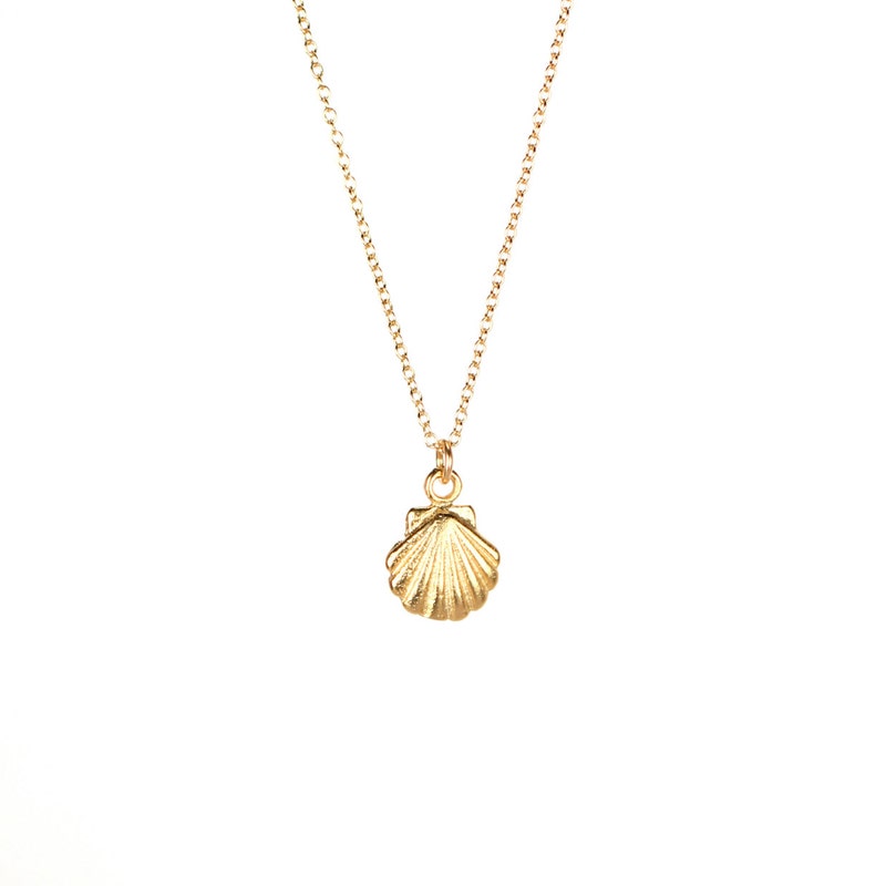 Scallop Shell Necklace - Etsy