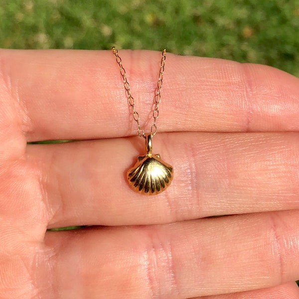 Gold Seashell - Etsy