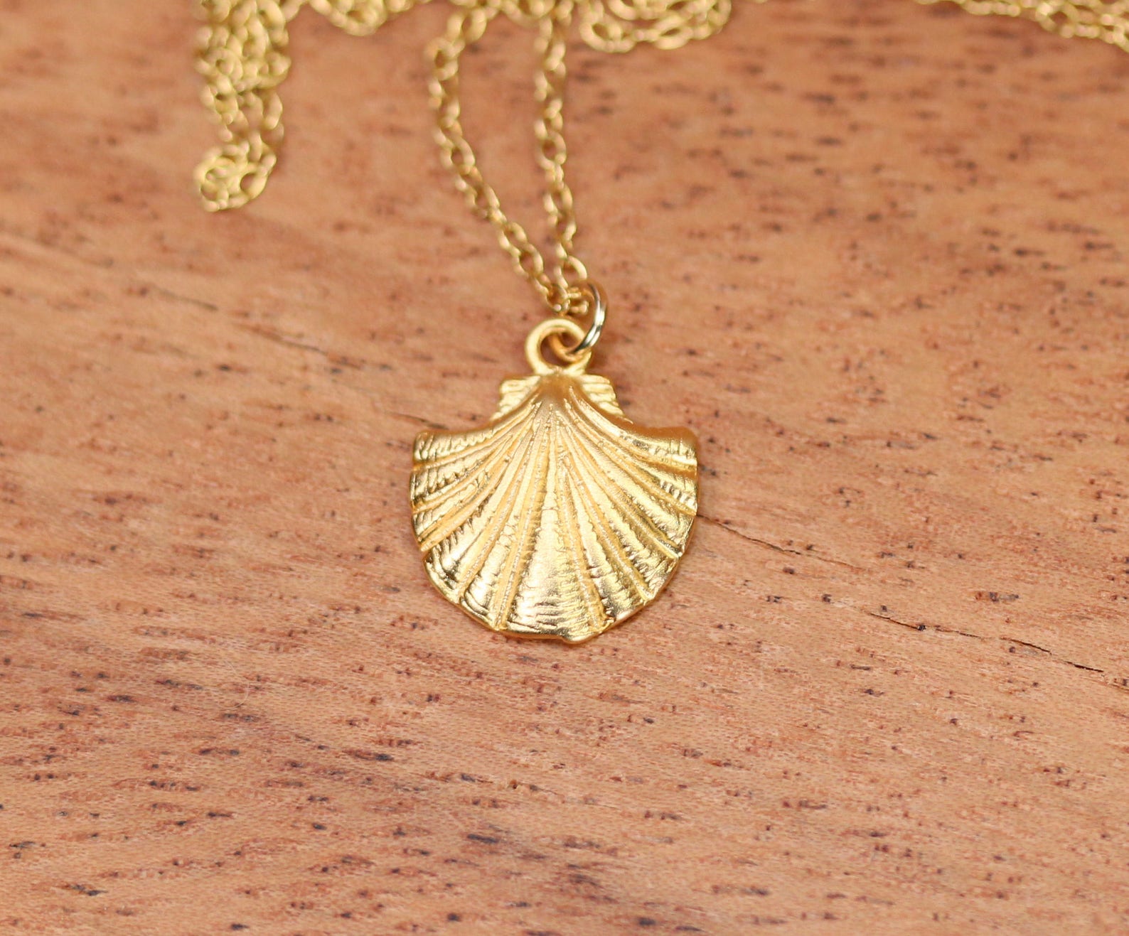 Gold Shell Necklace Scallop Necklace Silver Sea Shell - Etsy