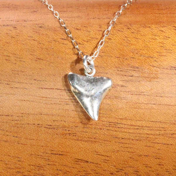 Shark Tooth Necklace - Etsy