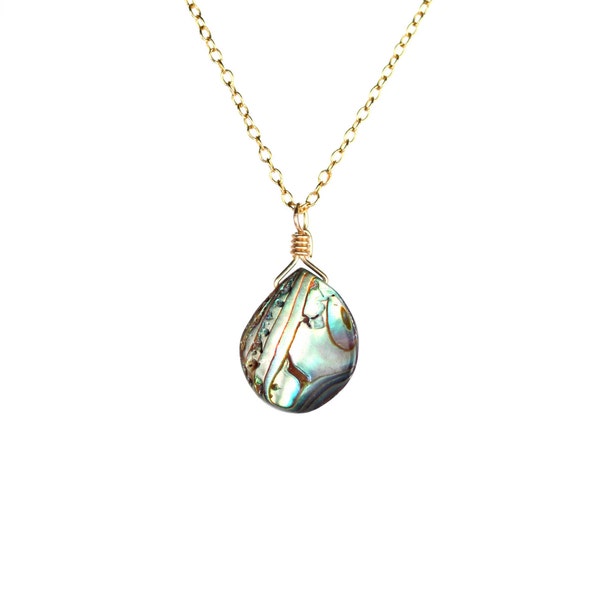 Rainbow Shell - Etsy