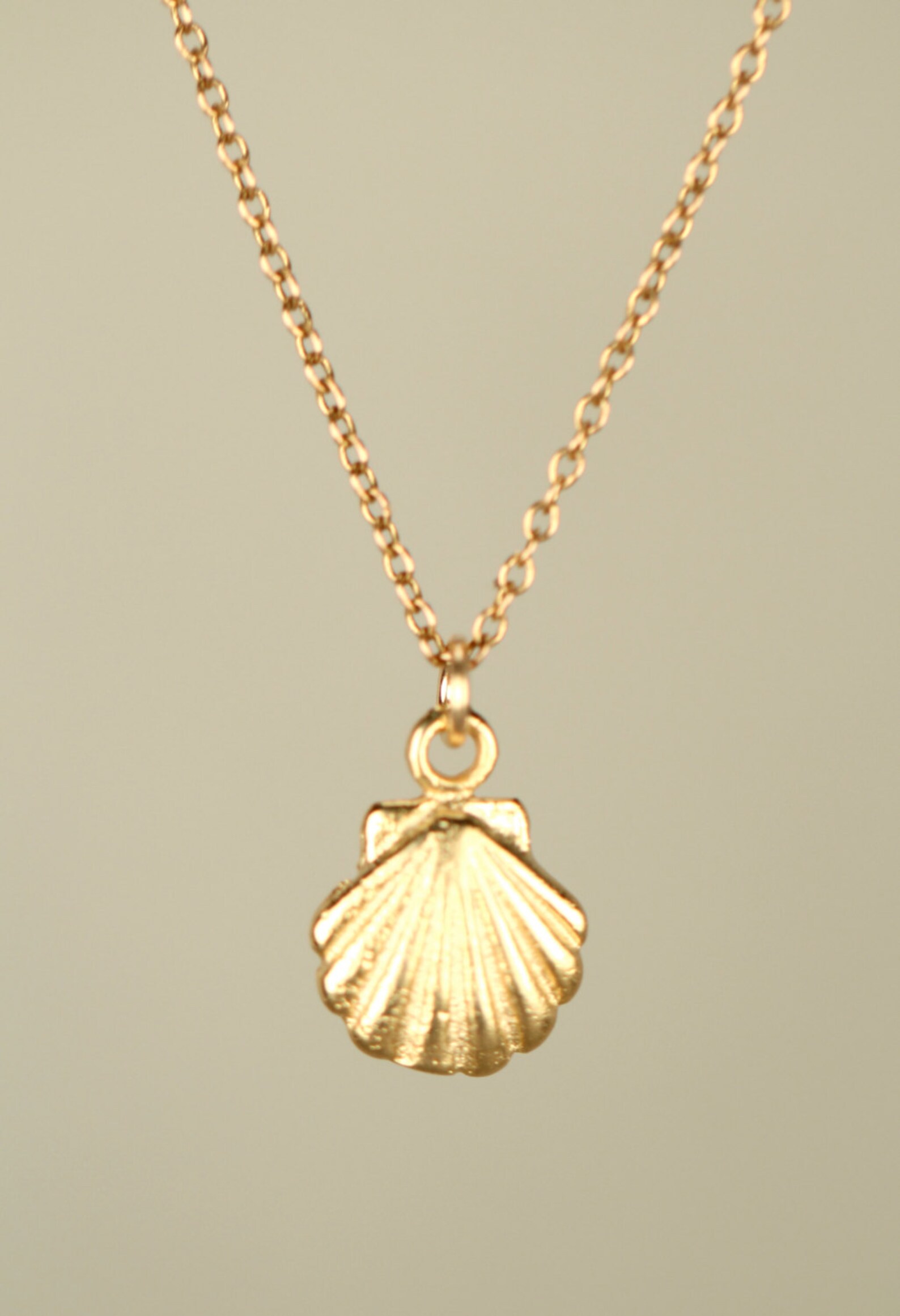 Gold Shell Necklace Tiny Shell Necklace Sea Shell Necklace - Etsy