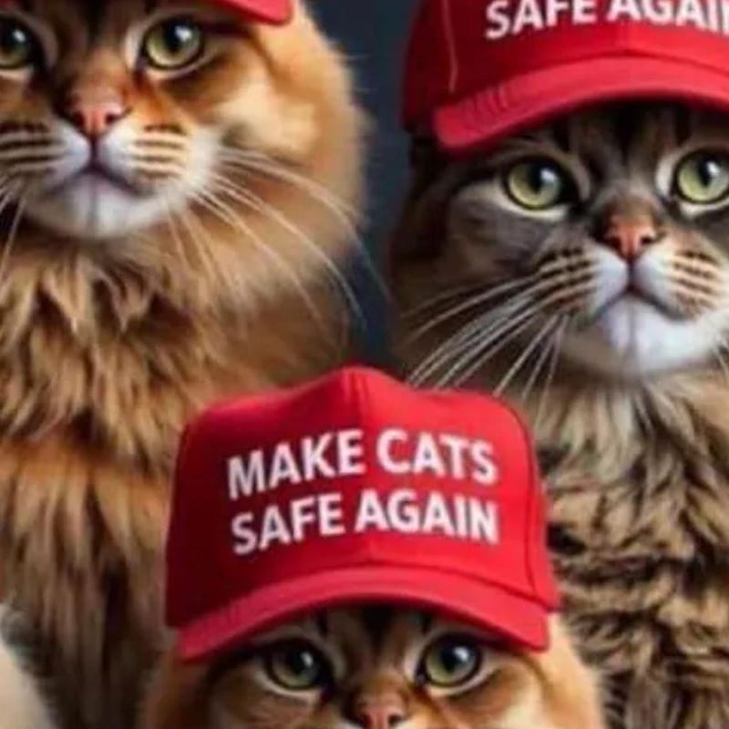 Maga Hat for Cats - Etsy