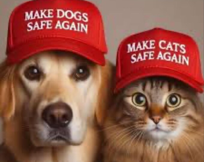 Maga Cat Hat a Maga Hat for Your Cat - Etsy