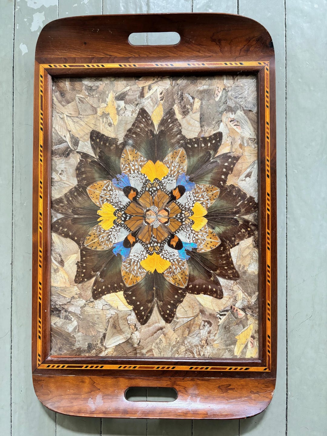 Tray Butterfly Wings Mosaic Vintage - Etsy