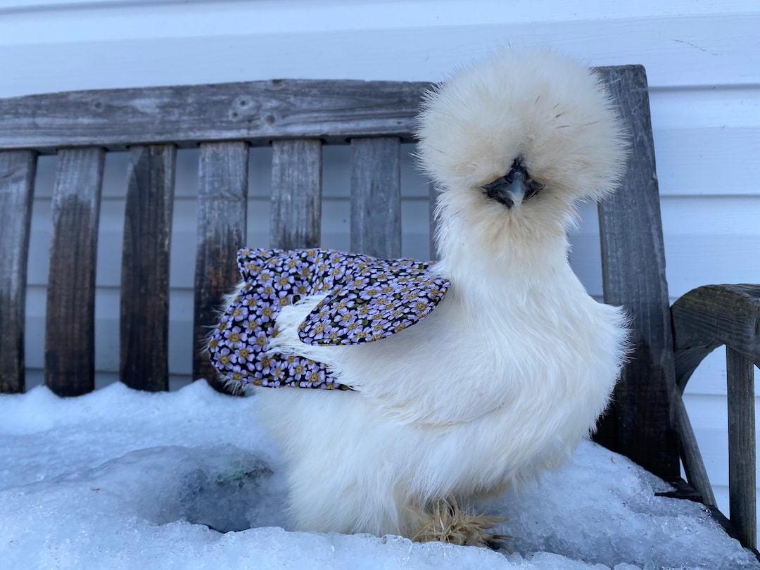 Hen Saddle With Tail Guard and Wing Protection, Chicken Apron, Chicken ...