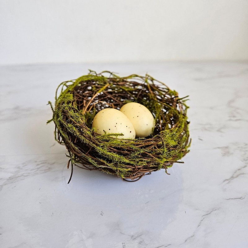 Hat With Bird Nest - Etsy