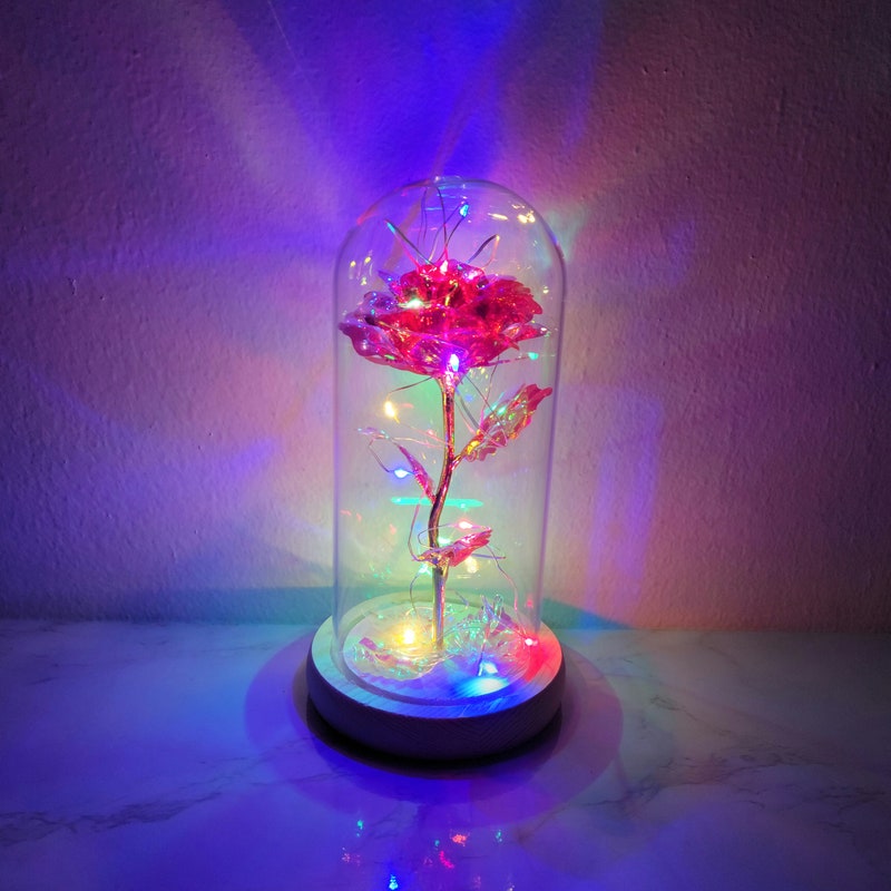 Enchanted Rose - Etsy
