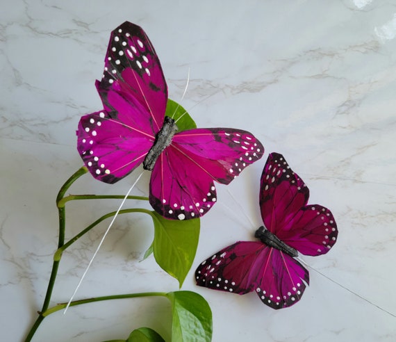 Magenta Butterfly