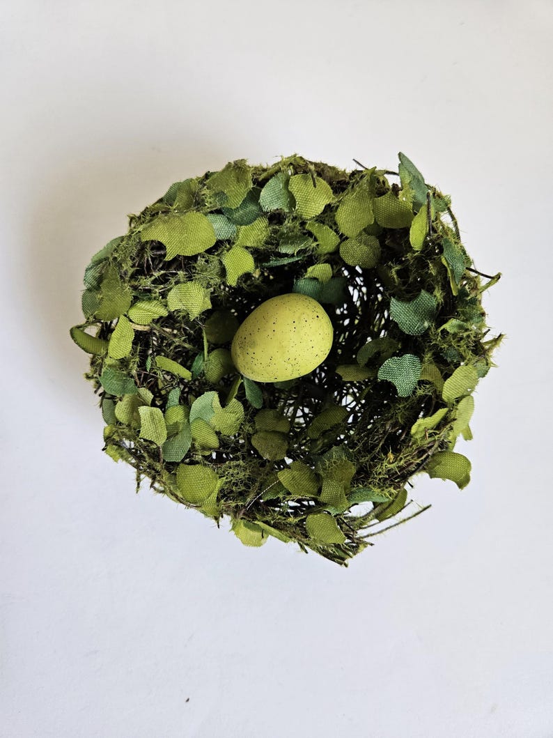 Small 3.5" Green Vine/moss Bird Nest With Egg for Garden, Home, Spring ...