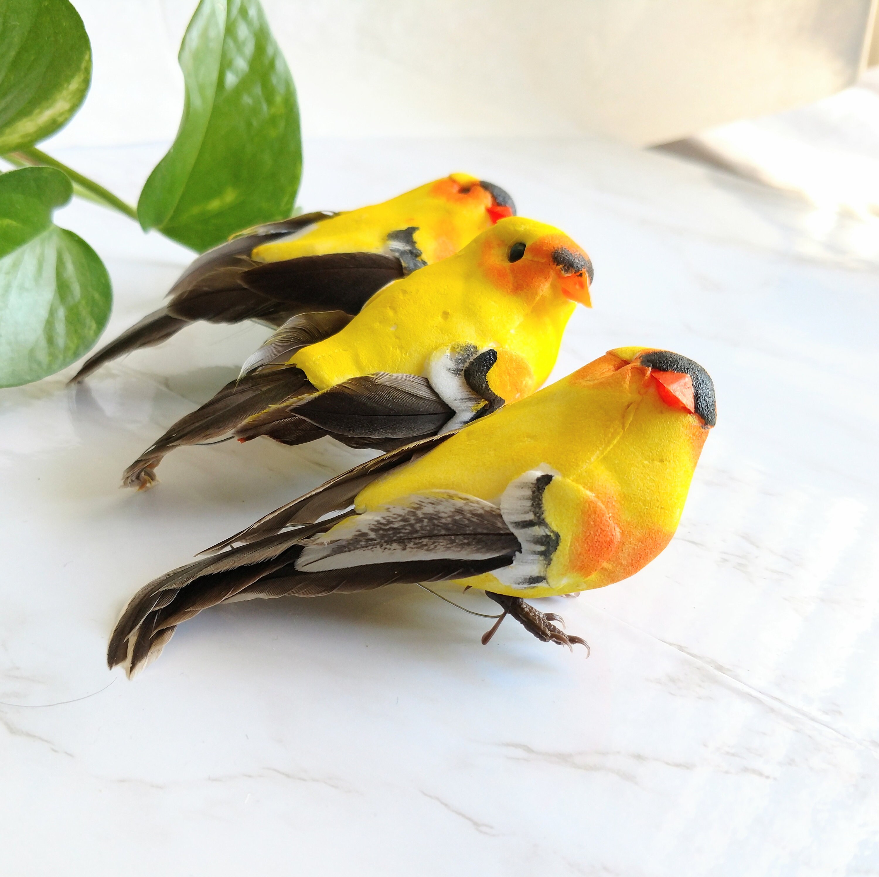 Yellow Finches Flying