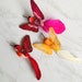 12 Cute 6" Artificial Hummingbirds With Feathers on Wire for Crafts ...