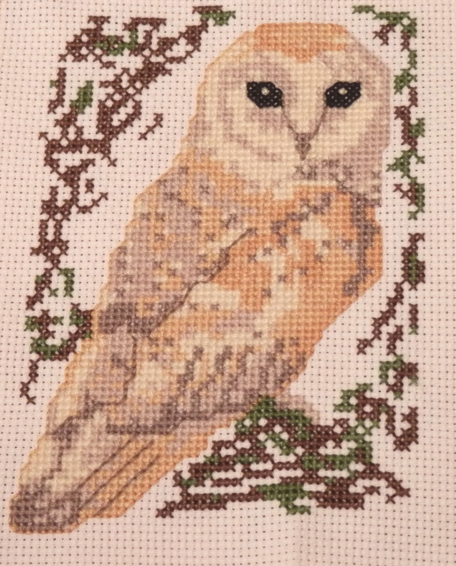 Barn Owl Cross Stitch Kit: Birds Series - Etsy