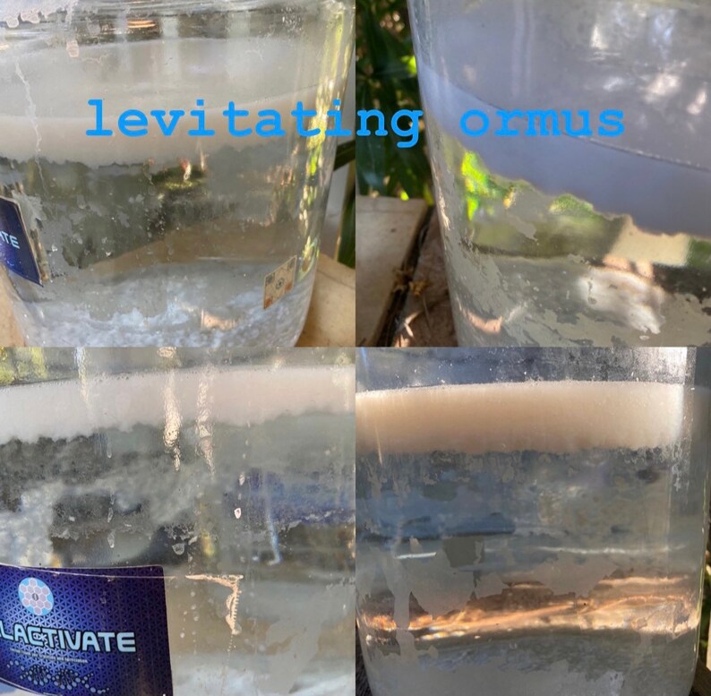 Advanced Formula Galactivate Monoatomic Ormus Light Enhanced - Etsy