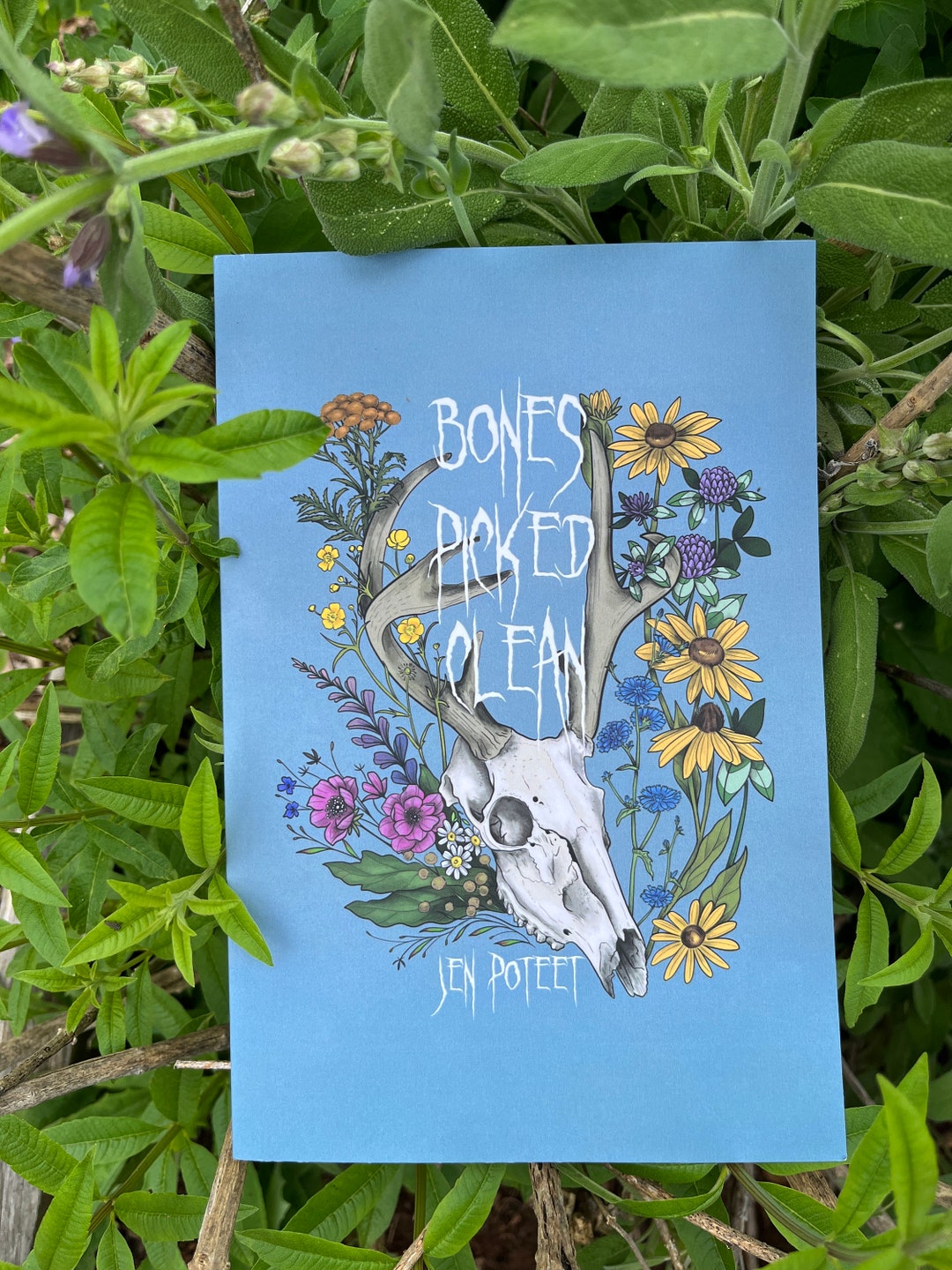 Bones Picked Clean - Etsy