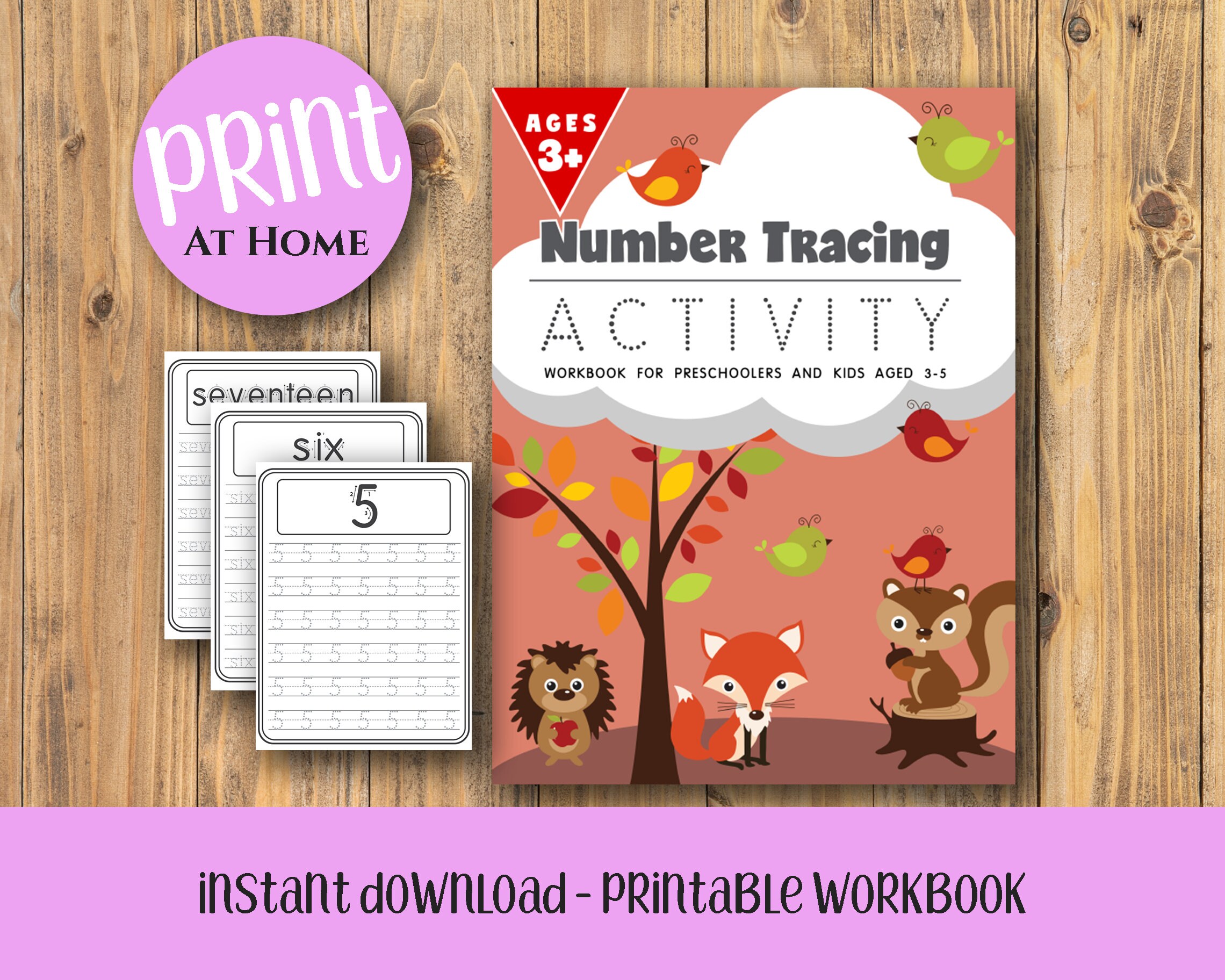Number Tracing Activity Workbook for Preschoolers and Kids Aged 3-5 ...