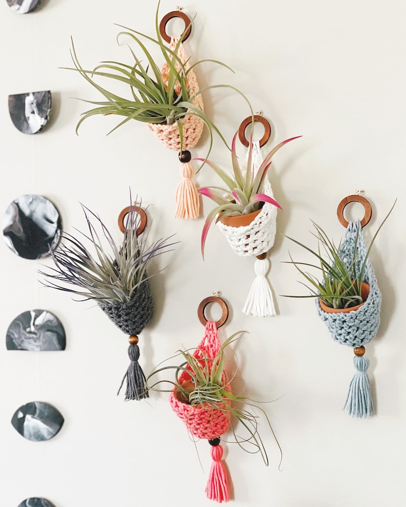 Cozy Crochet Air Plant Hanger Air Plant Hanger Plant - Etsy