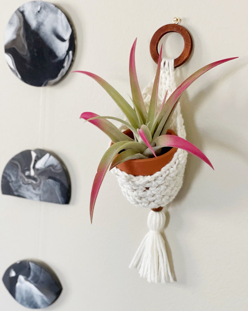 Cozy Crochet Air Plant Hanger Air Plant Hanger Plant - Etsy