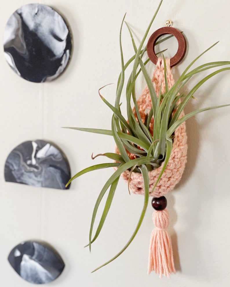 Cozy Crochet Air Plant Hanger Air Plant Hanger Plant - Etsy