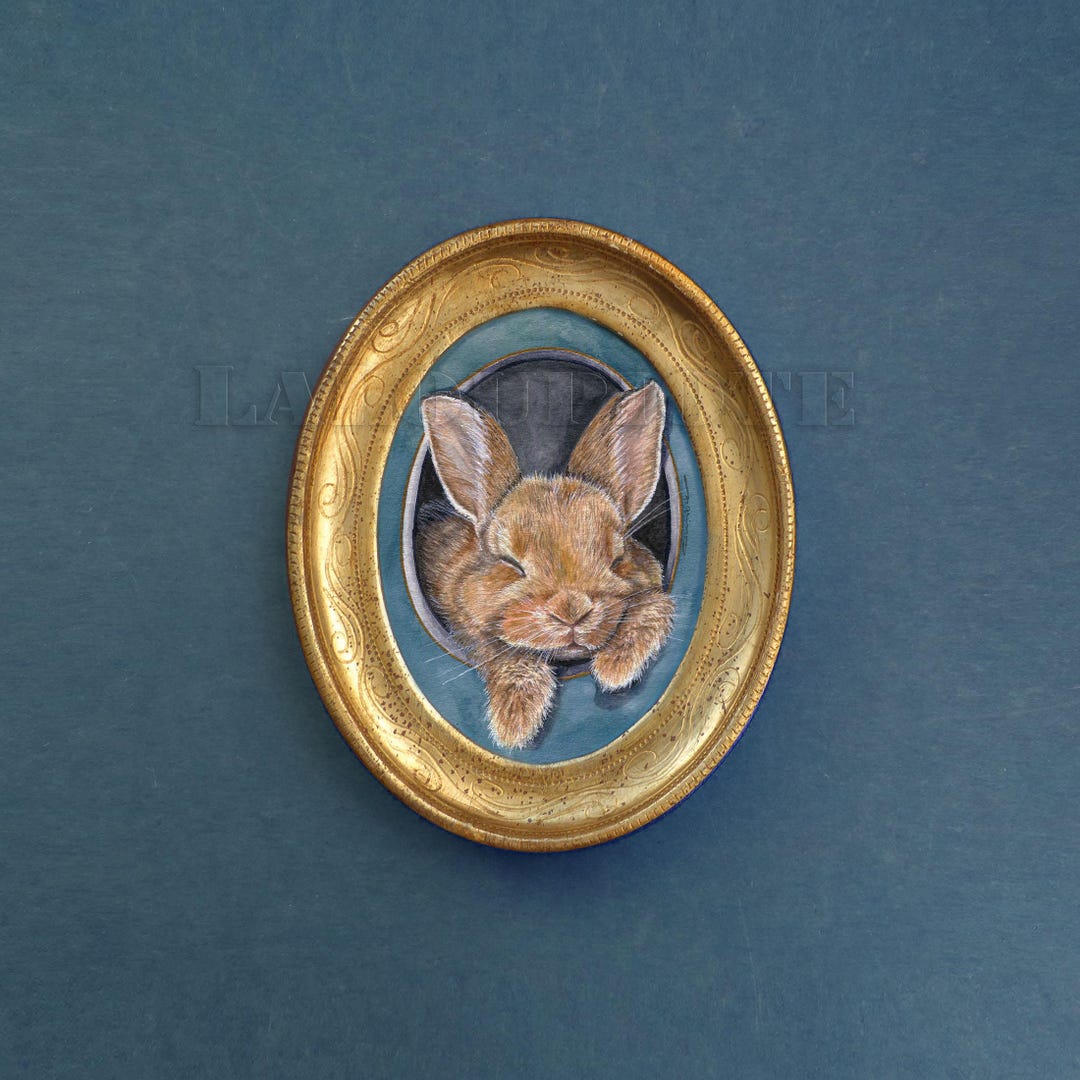 Original Sleeping Rabbit Portrait in Vintage Florentine Frame ...