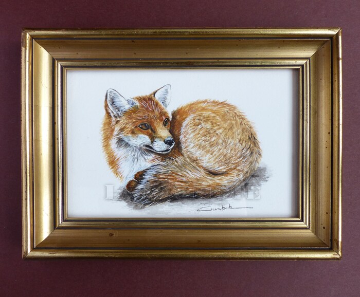 Original Fox - Etsy