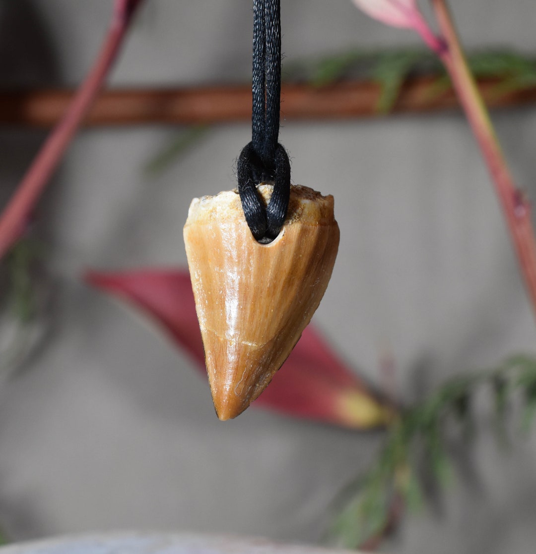 Dinosaur Fossil Tooth Pendant Mosasaur Tooth Pendant Fossil Tooth ...
