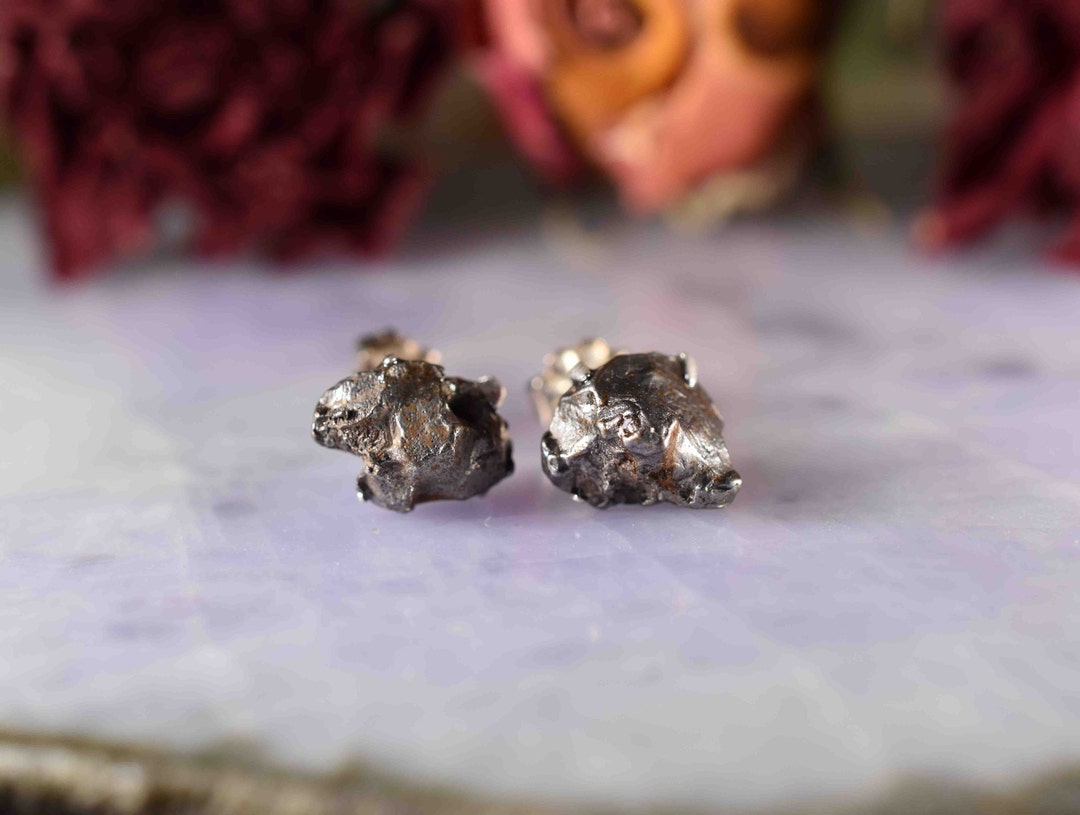 Meteorite Meteor Post Prong Earrings in Sterling Silver, Campo Del ...