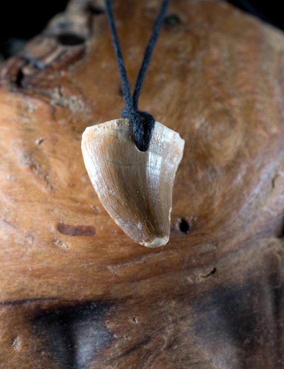 Dinosaur Fossil Tooth Pendant Mosasaur Tooth Pendant Fossil | Etsy