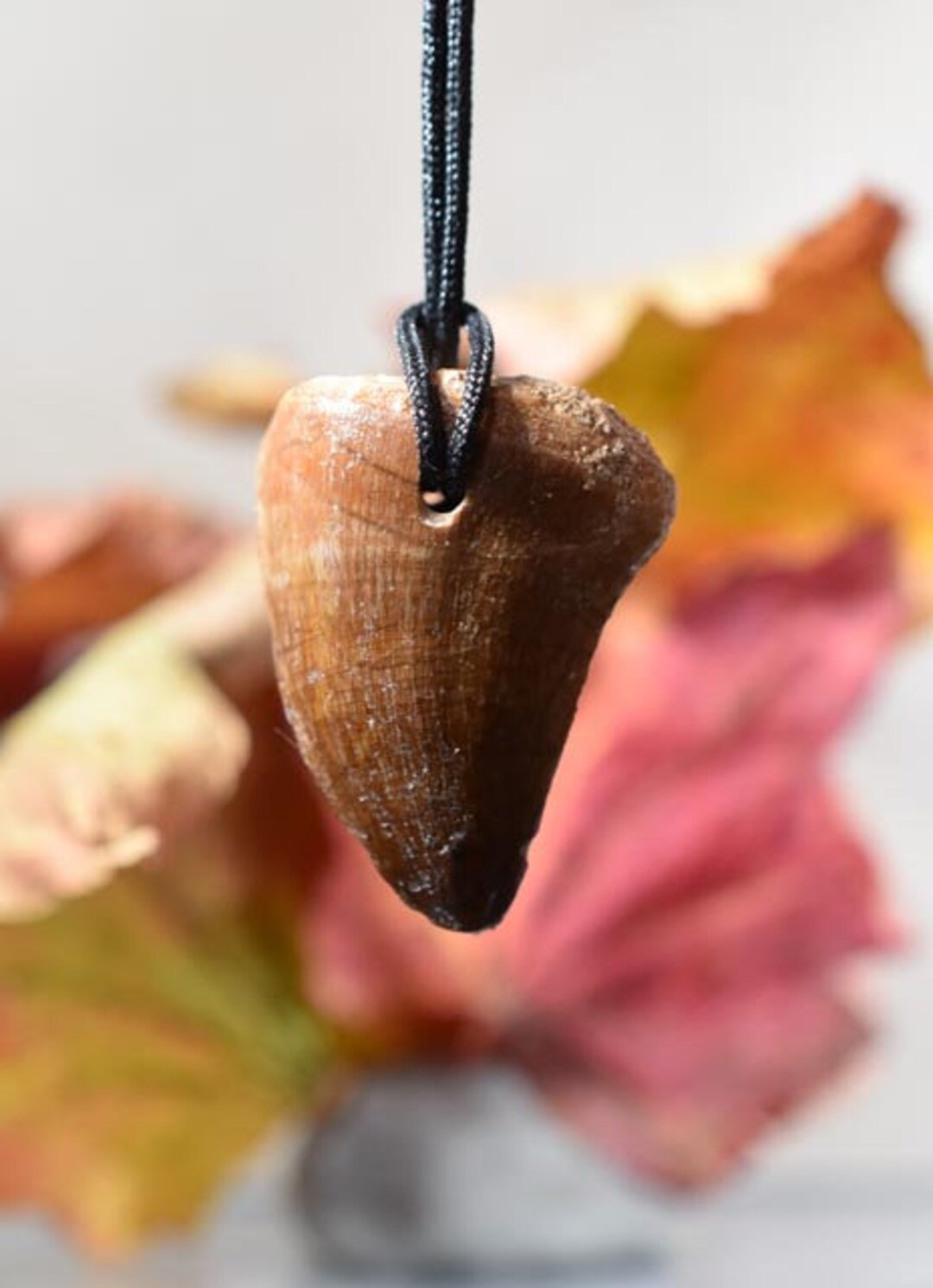 Dinosaur Fossil Tooth Pendant Mosasaurus Tooth Pendant Fossil - Etsy