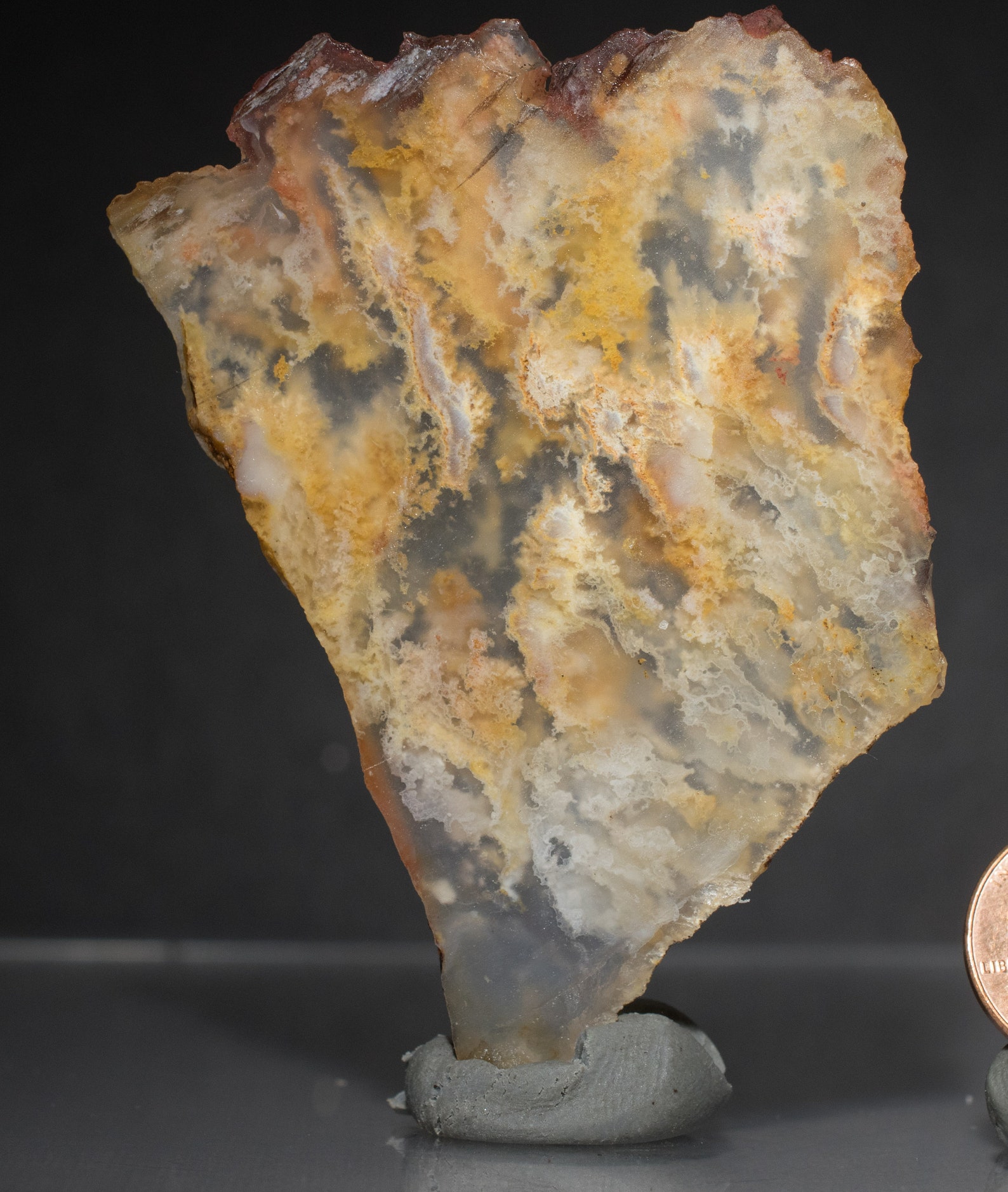 Plume Agate Slice Slab graveyard Point Plume Agate regency | Etsy