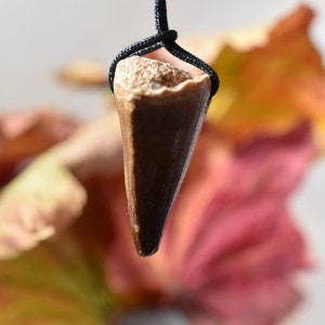 Dinosaur Fossil Tooth Pendant Mosasaurus Tooth Pendant Fossil - Etsy